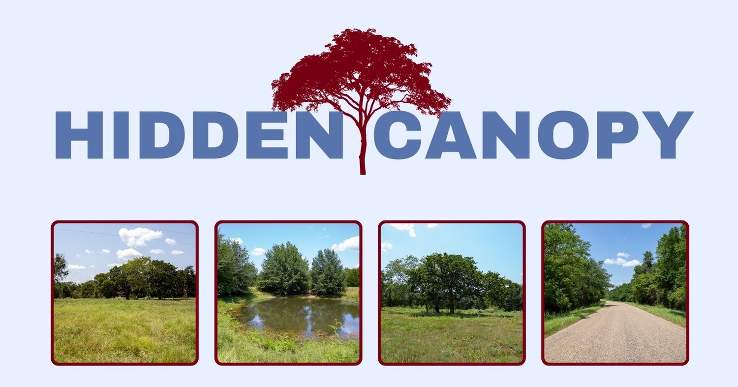 Hidden Canopy Ranch | Pristine Undeveloped Land for Sale in Texas